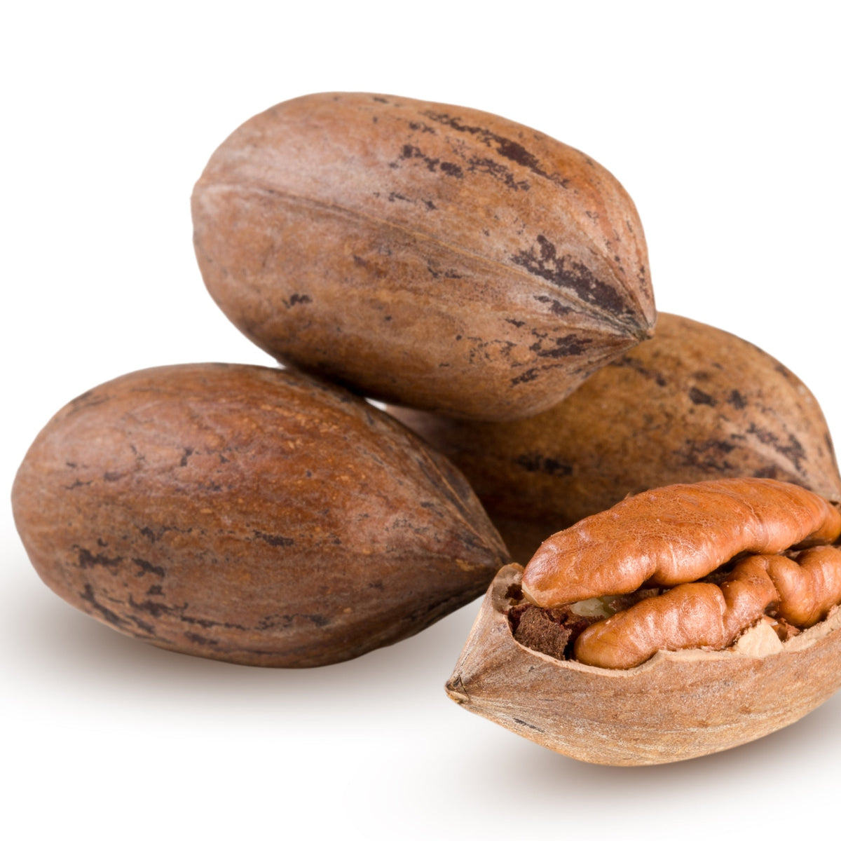 Pecans Raw in Shells 5kg (pre-order) – thenutbank